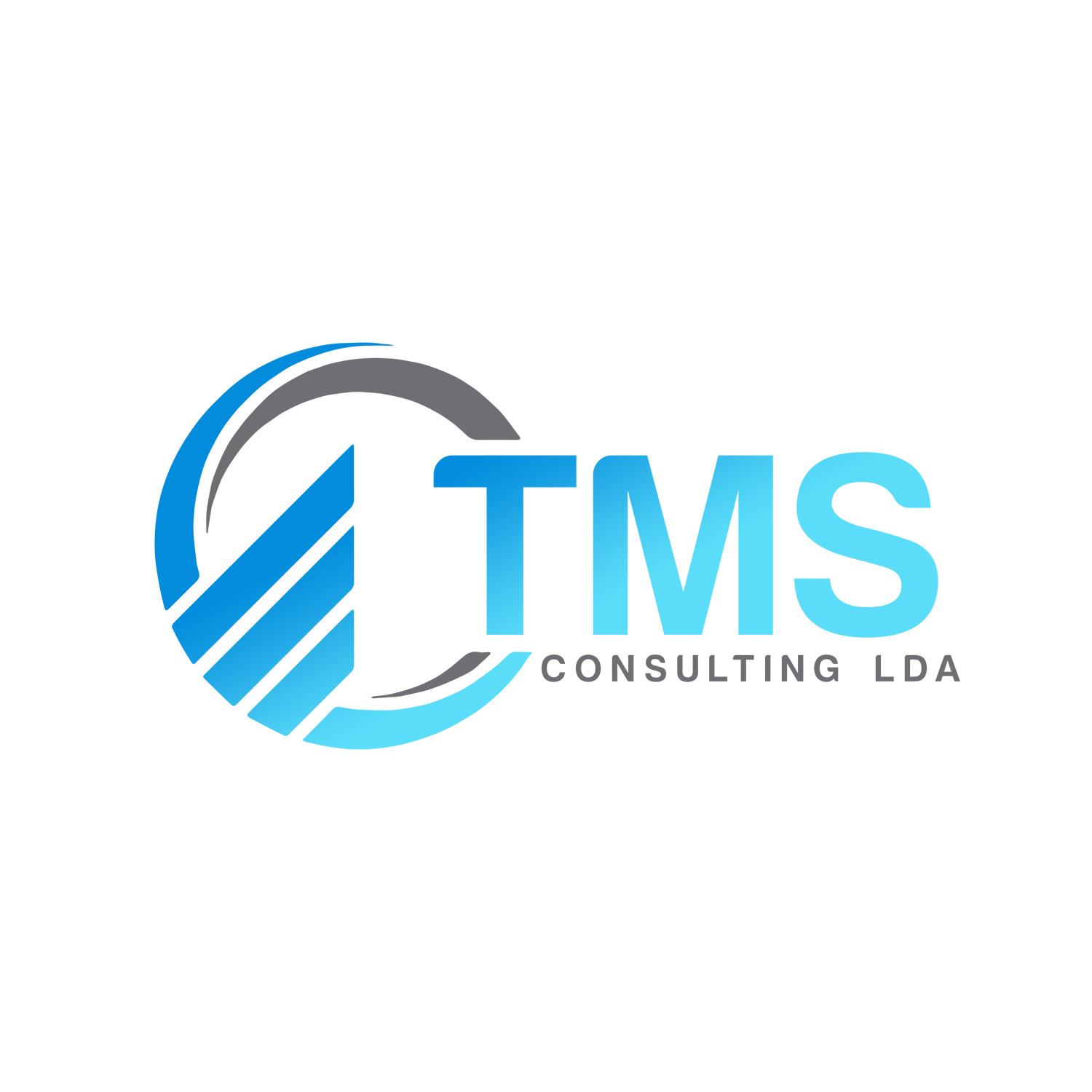 TMS CONSULTING LDA – TMS CONSULTING LDA